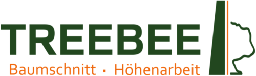 Baumschnitt, Baumpflege und Baumfällung - TreeBee